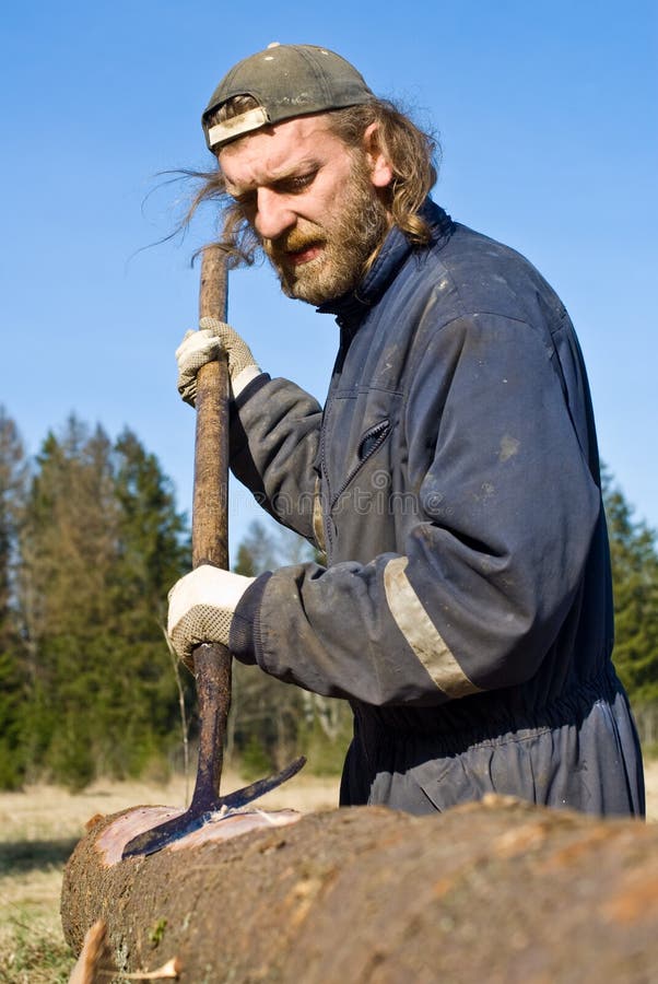 Lumber Worker Removing Bark Stock Photo - Image of process, trees: 4889446