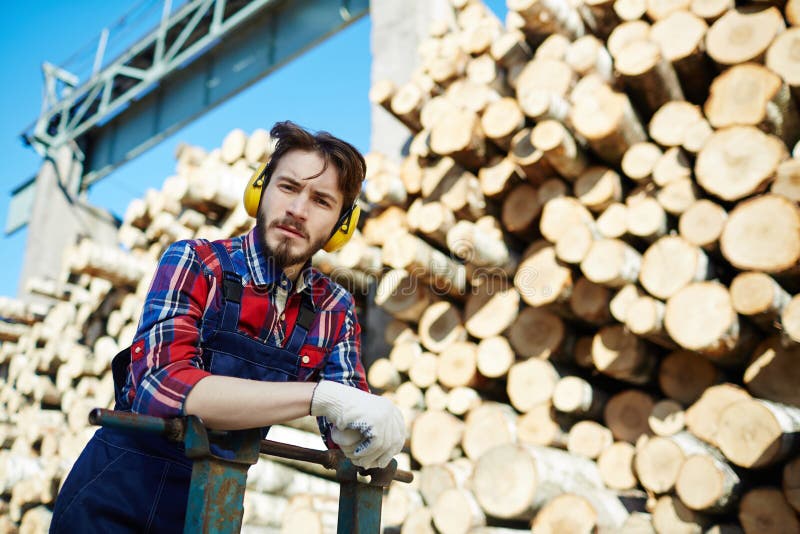 Lumber Working on Timber Falling Site Stock Photo - Image of arbor ...