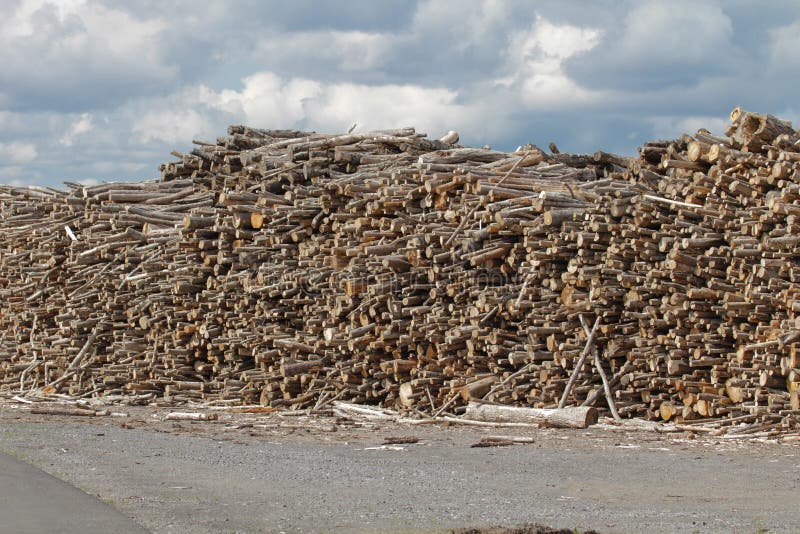 Lumber yard stock image. Image of stockpile, forestry - 25740063