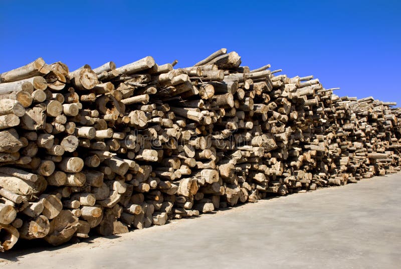 Lumber yard stock image. Image of forest, pile, sawmill - 9261107