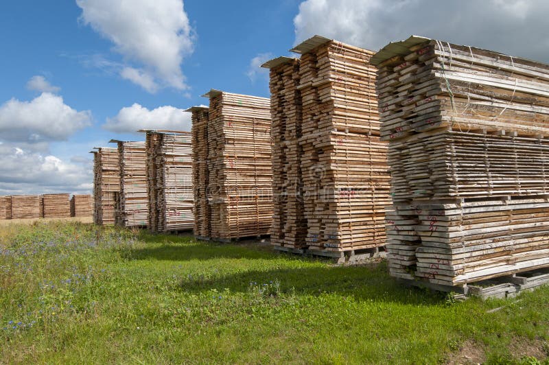 Lumber yard, wooden boards stock photo. Image of industry - 97808588