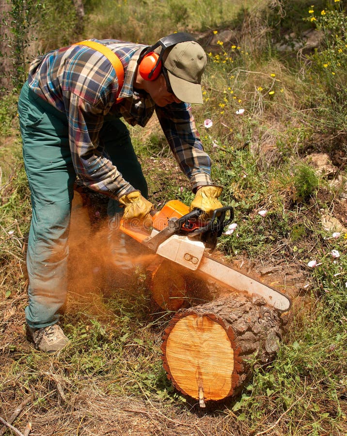 Lumberjack in action stock photo. Image of earplugs, tree - 14390348