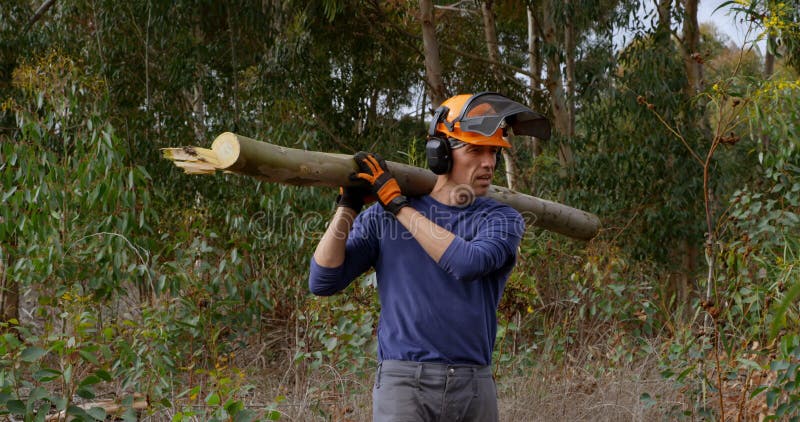 Man Carrying Wooden Log stock footage. Video of walking - 158981130