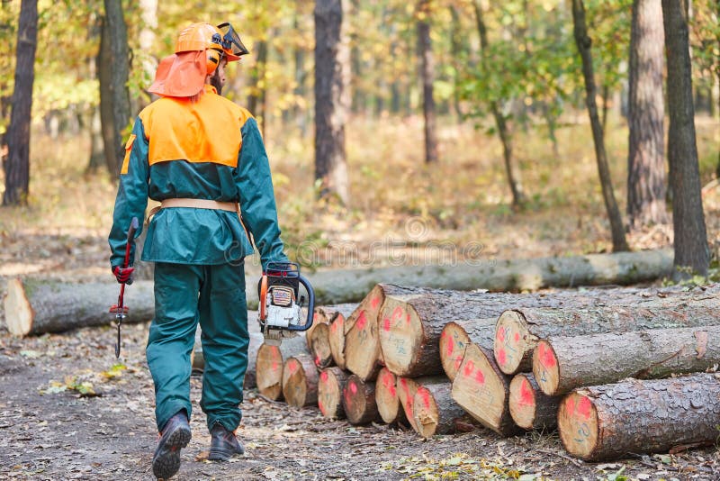 Lumberjack and Tree Trunks with Red Marker Stock Image - Image of ...