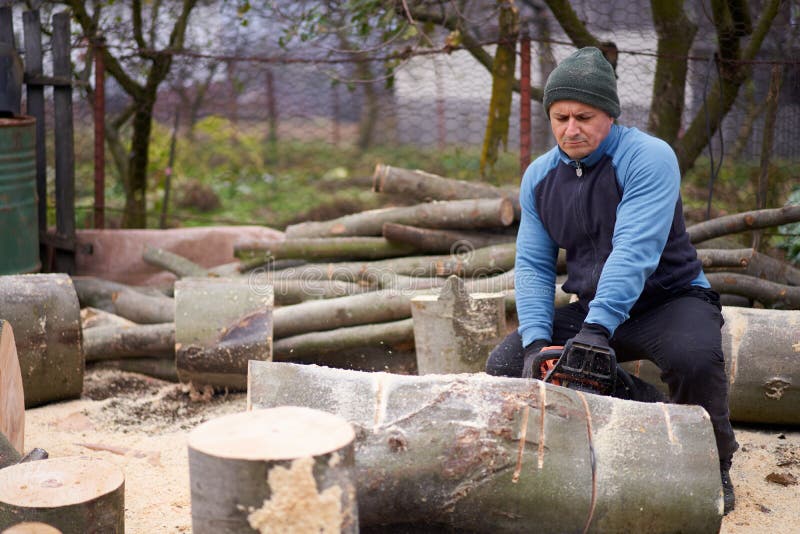 Lumberjack with Chainsaw at Work Stock Photo - Image of household ...