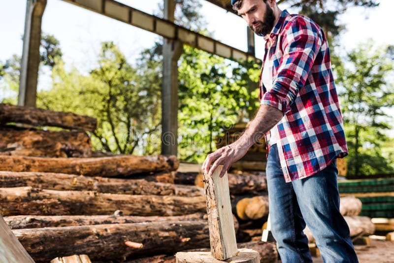 Lumberjack Chop Wood with an Ax. Stock Image - Image of hairstyle ...