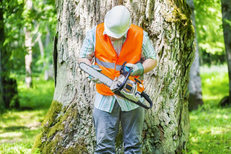 Chainsaw Inspection Stock Photos - Free & Royalty-Free Stock Photos ...