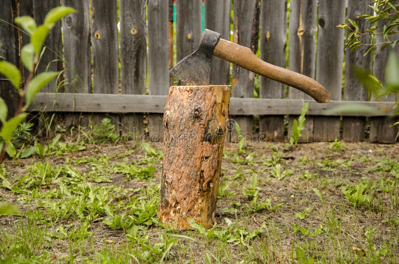 Lumberjack Chopping a Fallen Tree. Stock Photo - Image of coniferous ...