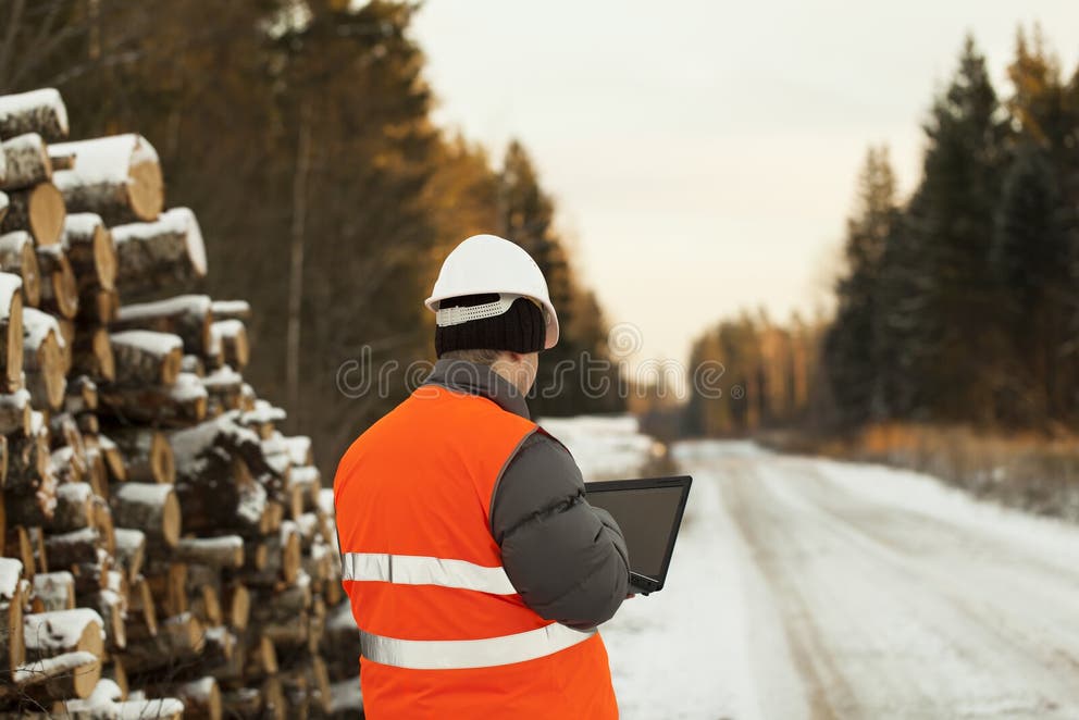 Lumberjack with the Computer Stock Photo - Image of dangerous, employee ...