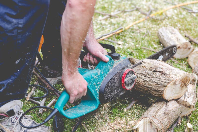 Lumberjack Cuts a Tree in the Garden Stock Photo - Image of industrial ...