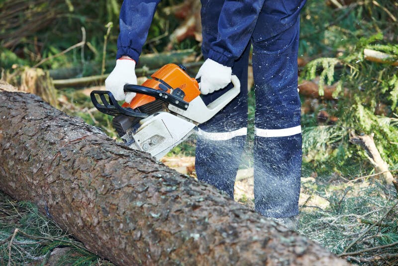 Lumberjack Cutting Tree in Forest Stock Image - Image of petrol ...