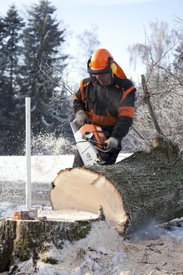 Lumberjack cutting tree stock image. Image of motion - 80947679