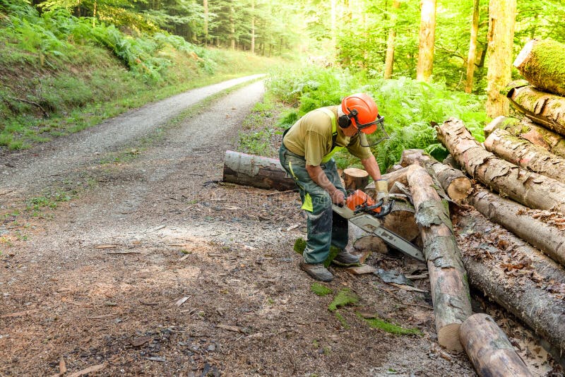 Lumberjack Cutting Trees with a Chainsaw Editorial Stock Photo - Image ...