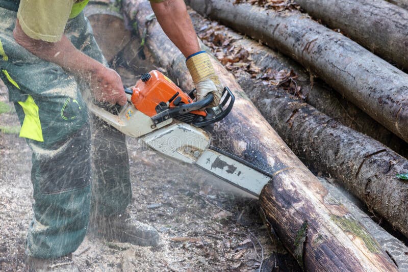 Lumberjack Cutting Trees with a Chainsaw Stock Image - Image of blade ...