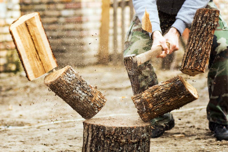 Lumberjack cutting wood stock image. Image of chop, hardworking - 111498661