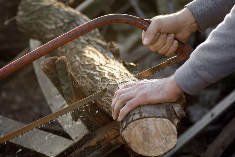 Lumberjack cutting wood stock image. Image of chop, hardworking - 111498661
