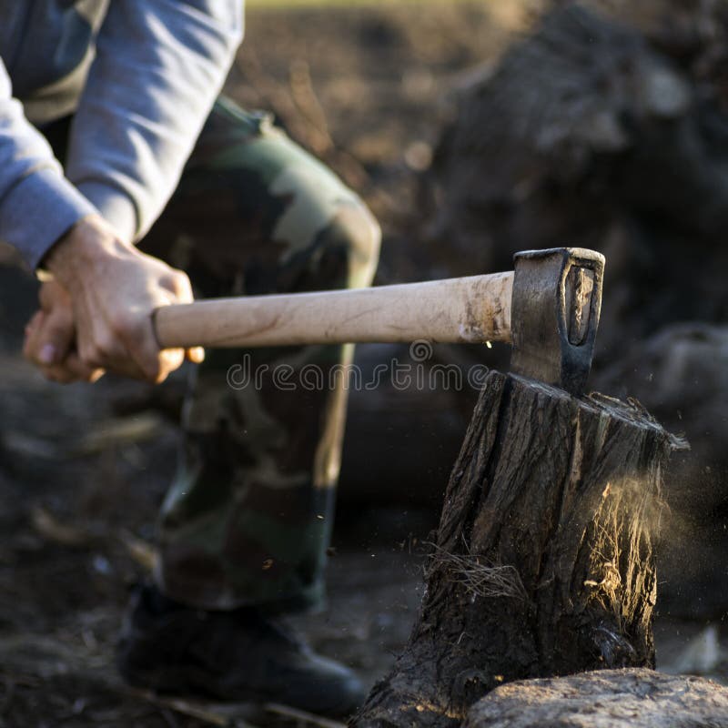 Lumberjack cutting wood stock image. Image of chop, hardworking - 111498661