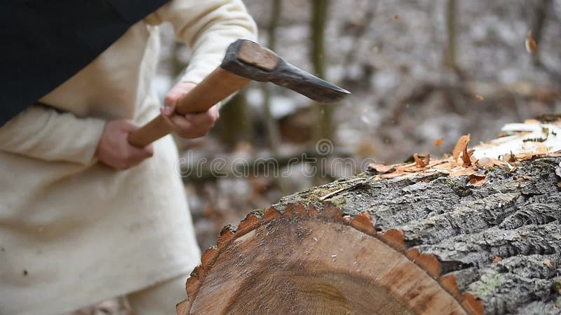 Lumberjack Debarking the Bark of a Tree in the Winter Mountains. Stock ...