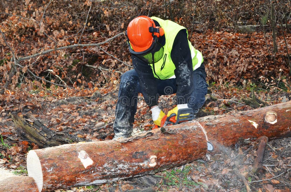 Lumberjack doing his work stock image. Image of lumberjack - 35363475