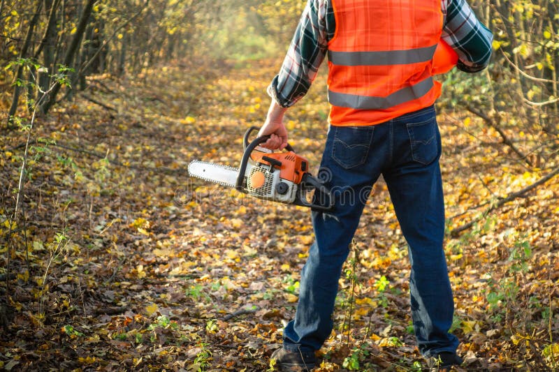 Lumberjack is Dressed in Protective Gear and a Chainsaw in His Hand ...