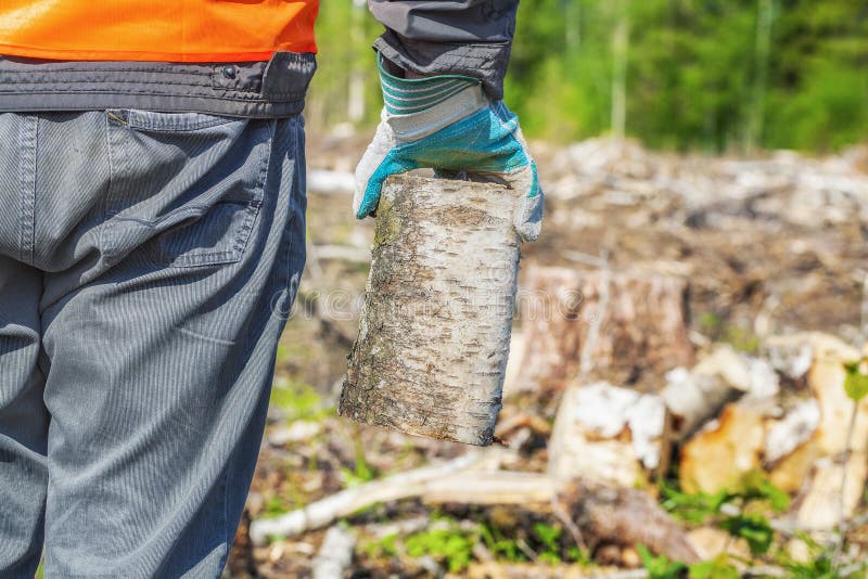 Lumberjack with an Ax and Firewood Goes through Woods. Stock Image ...