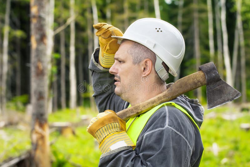 Lumberjack in the forest stock photo. Image of fire, lumber - 32935012