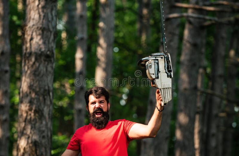 Lumberjack Holding the Chainsaw. Lumberjack Concept. Lumberjack with ...