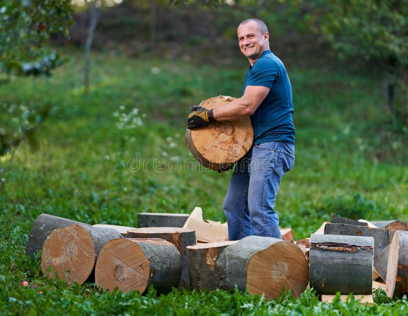 Lumberjack Manhandling the Beech Logs Stock Image - Image of strong ...