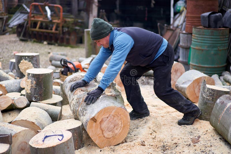 Lumberjack Moving Beech Logs Stock Image - Image of logs, caucasian ...