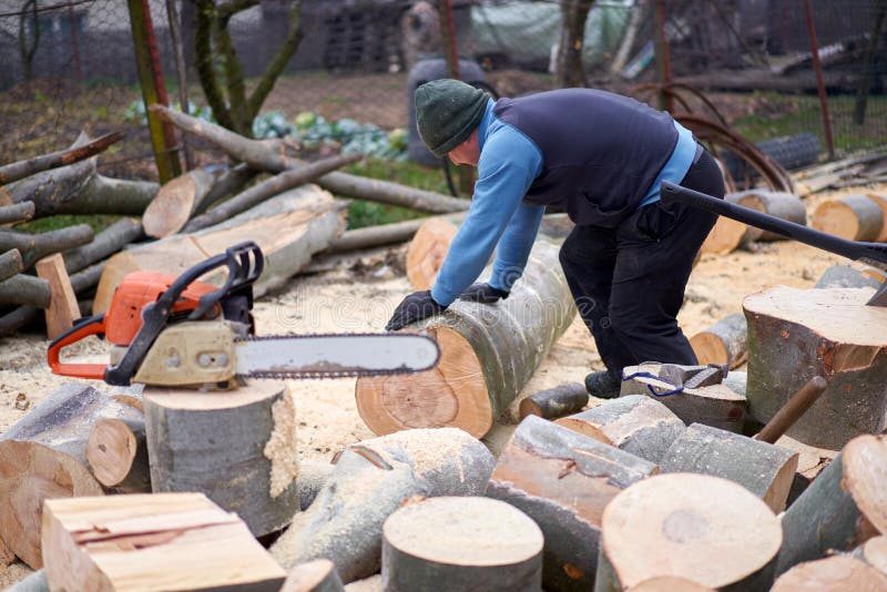 Lumberjack Moving Beech Logs Stock Photo - Image of sawing, caucasian ...
