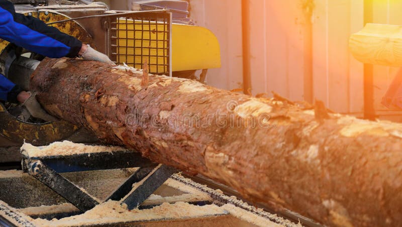 A Lumberjack Operates a Sawmill Processing a Large Log into Planks ...