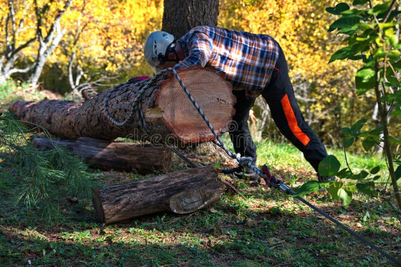 585 Preparing Pull Stock Photos - Free & Royalty-Free Stock Photos from ...