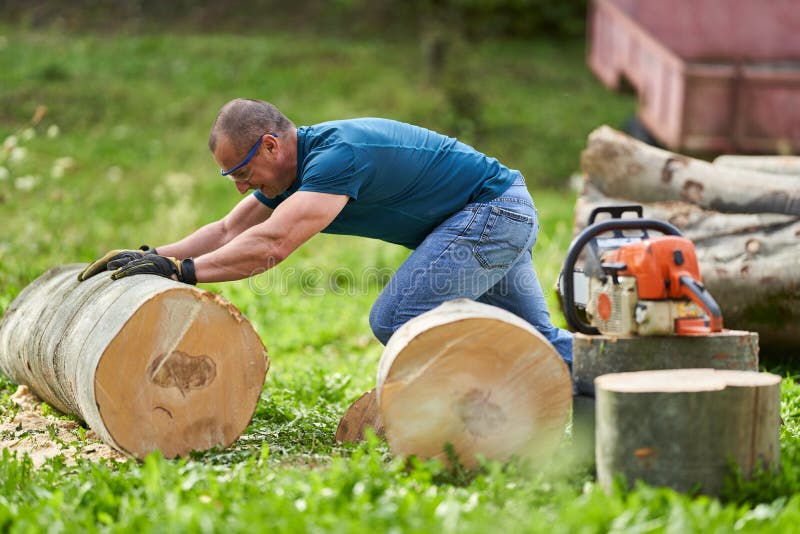 Lumberjack Pushing the Logs Stock Photo - Image of tool, powerful ...