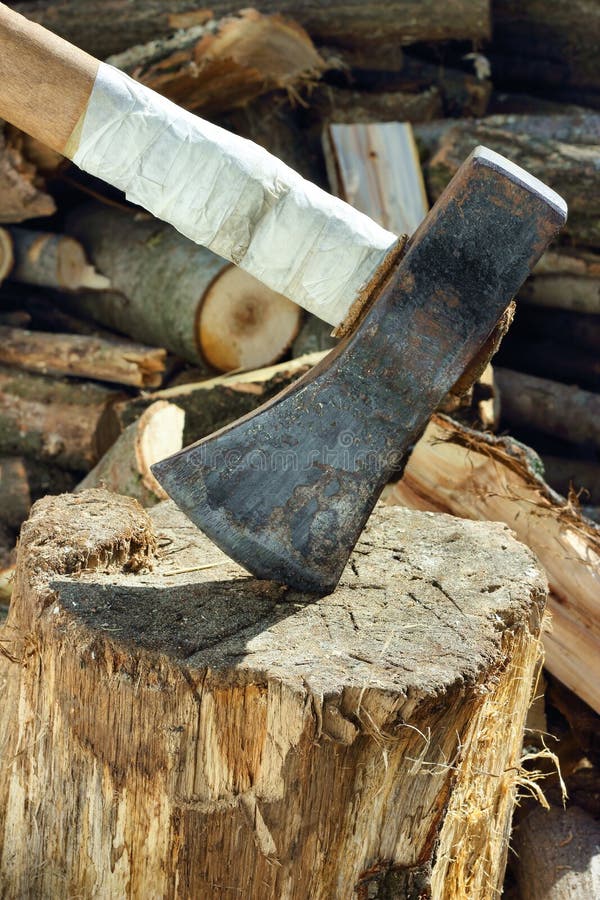 Lumberjack stock photo. Image of chainsaw, forestry, closeup - 21520690