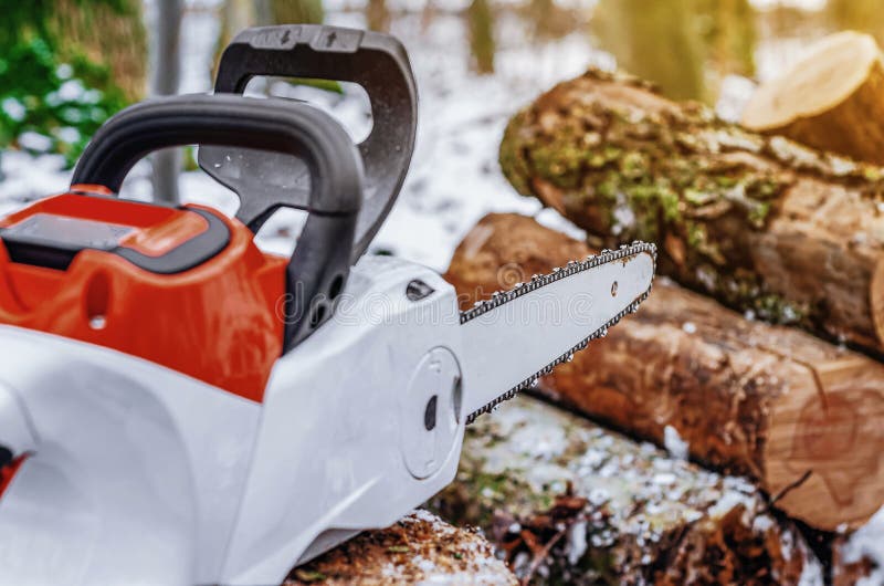 Lumberjack Saws Tree with a Chainsaw in the Forest Stock Photo - Image ...