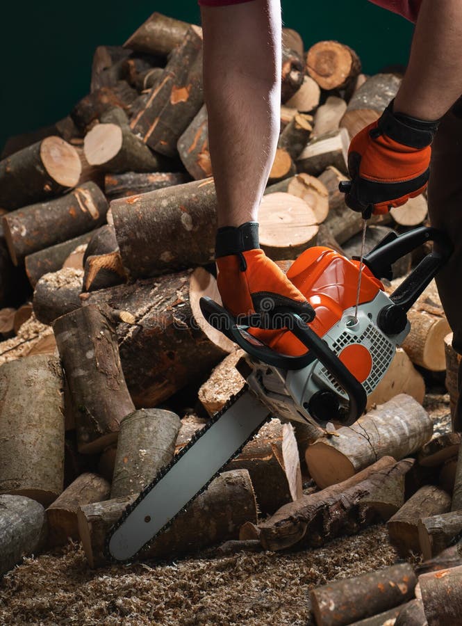 A Man`s Hands Start a Chainsaw Stock Image - Image of timber ...