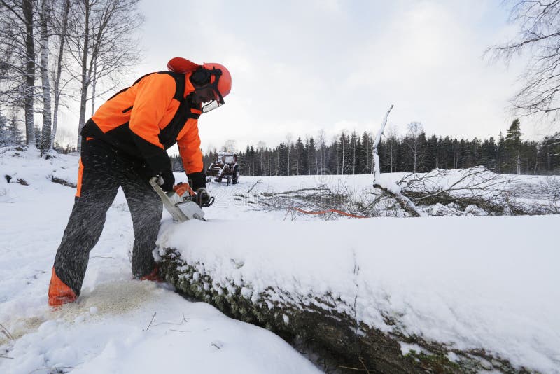 Lumberjack, Winter and Snow Stock Photo - Image of landscape ...
