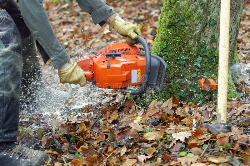 Lumberjack stock image. Image of wood, work, chainsaw - 32494075