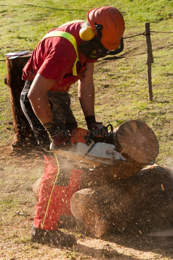 Lumberjack working stock photo. Image of people, orange - 27891136