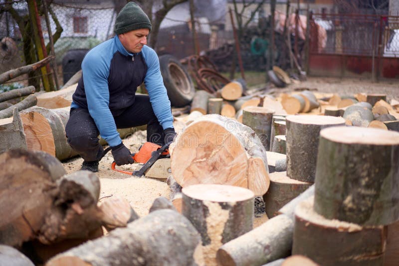 Lumberjack with Chainsaw at Work Stock Photo - Image of male, lifestyle ...