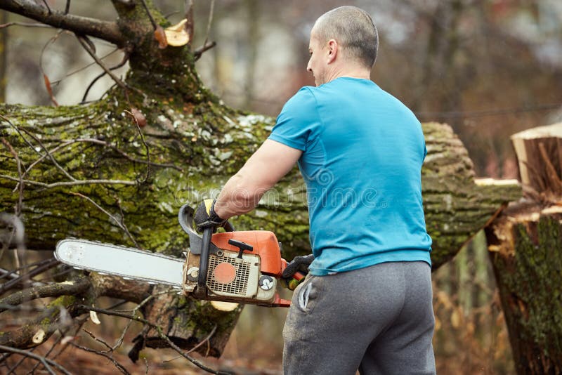 Lumberjack Working with Chainsaw Stock Image - Image of grass ...