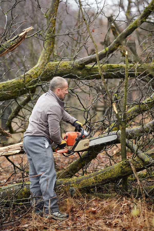 Lumberjack Working with Chainsaw Stock Image - Image of lumbering ...