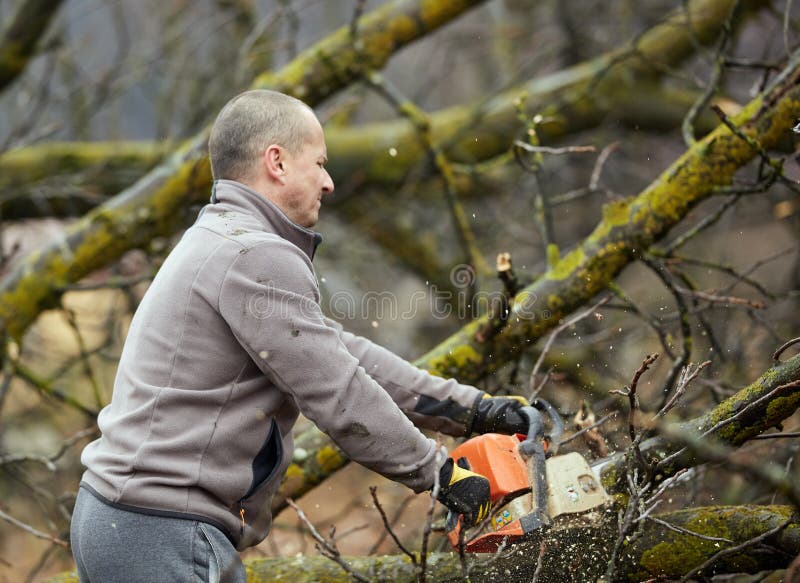 Lumberjack Working with Chainsaw Stock Photo - Image of powerful, green ...