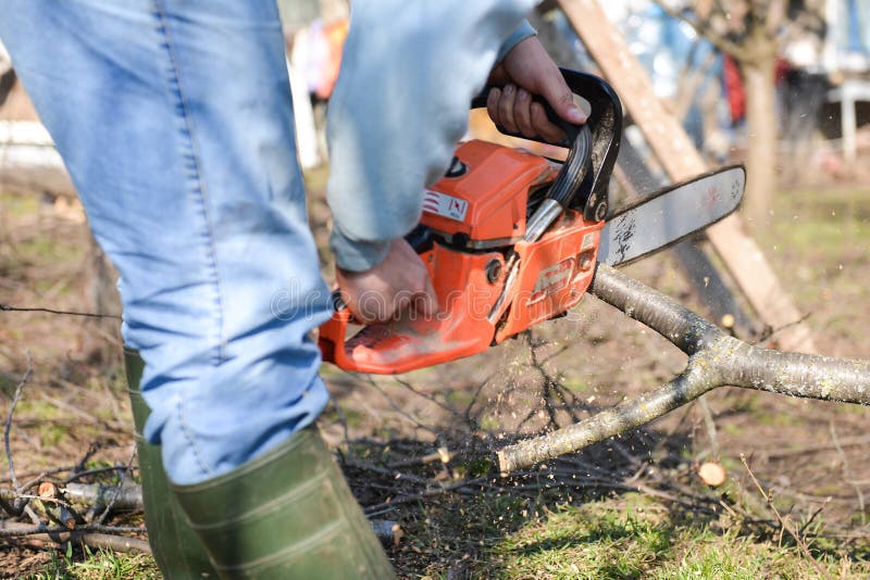 Lumberjack Working with Chainsaw, Cutting Wood Stock Photo - Image of ...