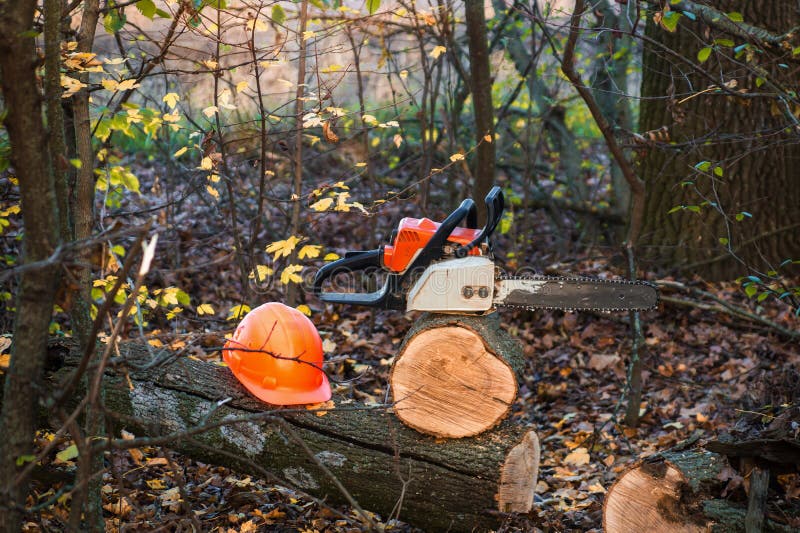 Lumberjack Working Tool Chainsaw and Helmet Protection Equipment on Log ...