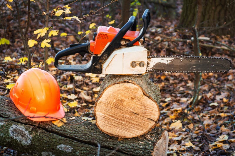 Lumberjack Working Tool Chainsaw and Helmet Protection Equipment on Log ...