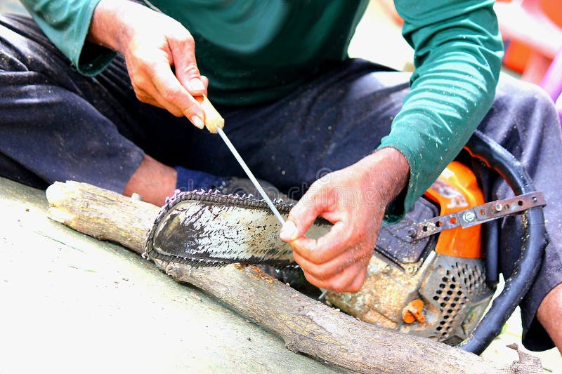 Lumberman Using Round File or Rat Tail File is Sharpening a Chainsaw ...
