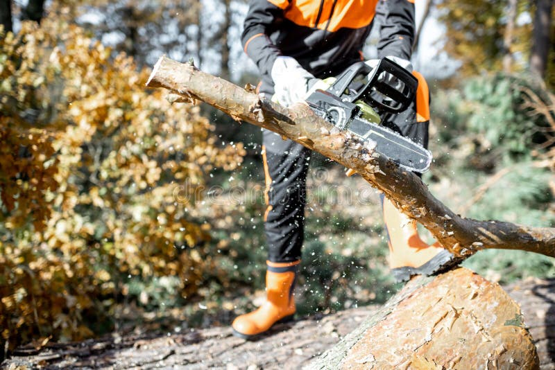 Lumberman Workignn in the Forest Stock Image - Image of tree, tool ...
