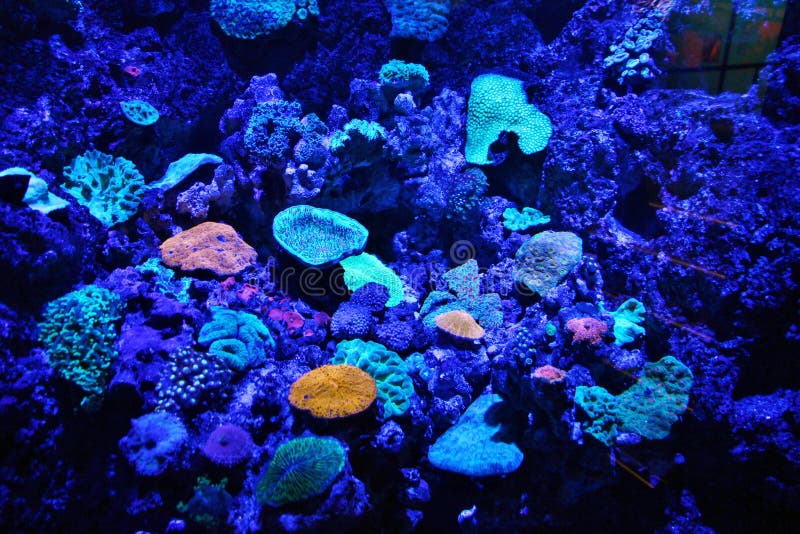 Luminancia imagen de archivo. Imagen de luces, submarino - 35477797