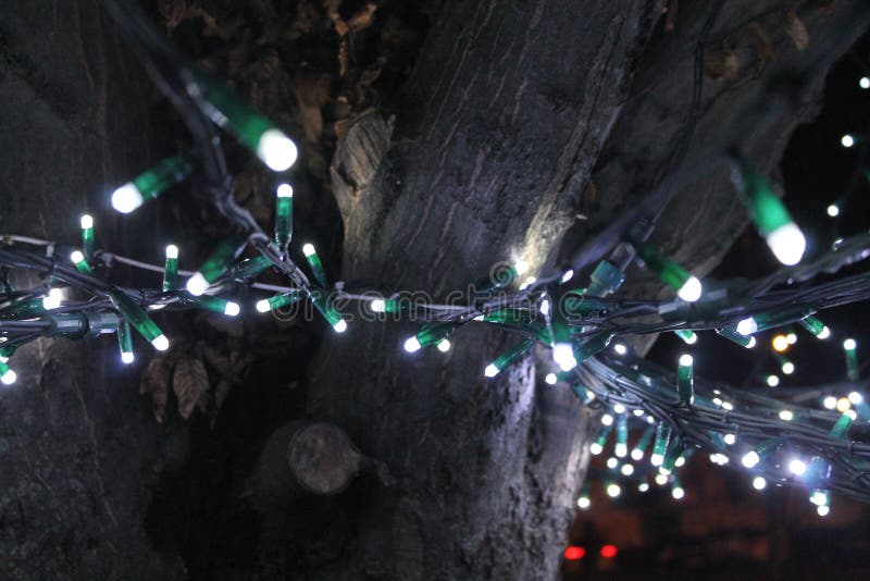 Luminous Christmas Garland. Stock Photo - Image of doggy, color: 167400928